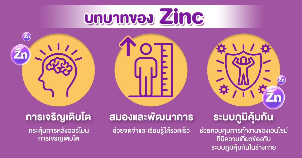 Zinc (ซิงค์) ช่วยพัฒนาการการเจริญเติบโต และเสริมภูมิคุ้มกันเด็กจริงไหม ...